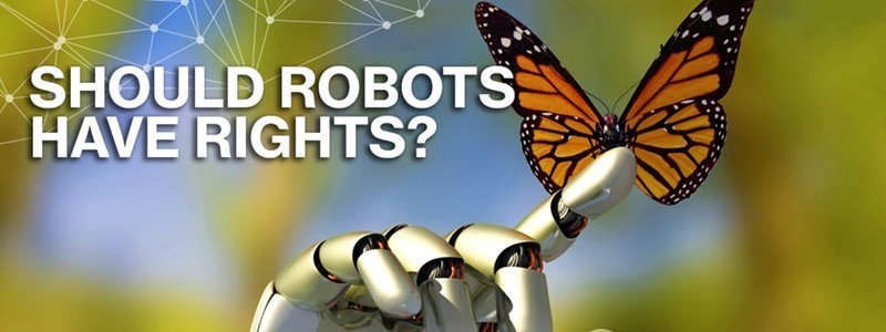 Your April website: robot rights and the law